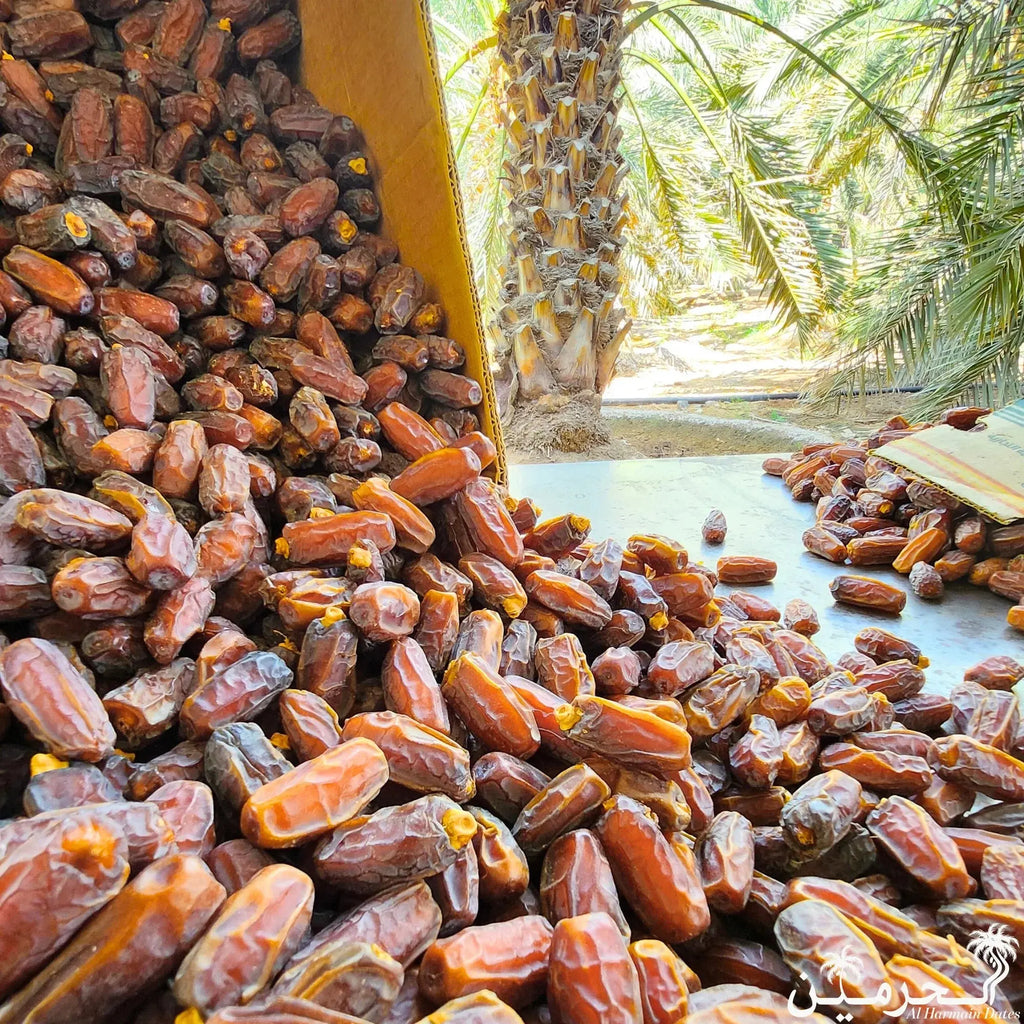 How to Identify Premium Quality Dates - Freshbasket Nationwide